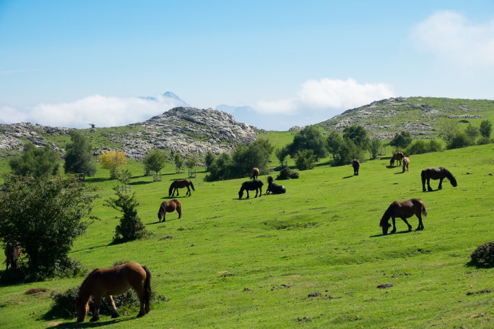 Gorbea, Bizkaia’s tallest mountain – Tour Magazine